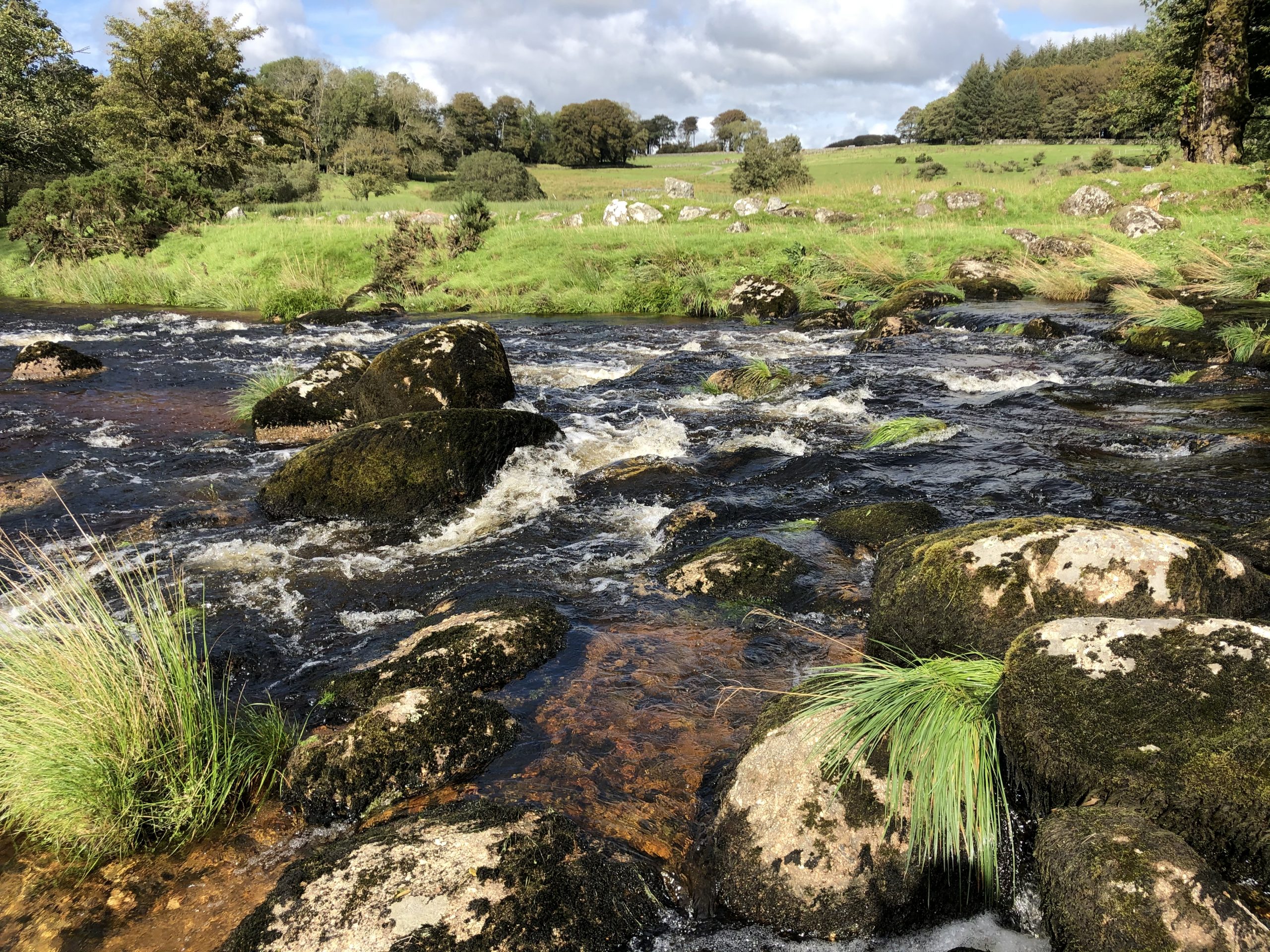 Guided Fly Fishing on Dartmoor - The Devon School of Fly Fishing